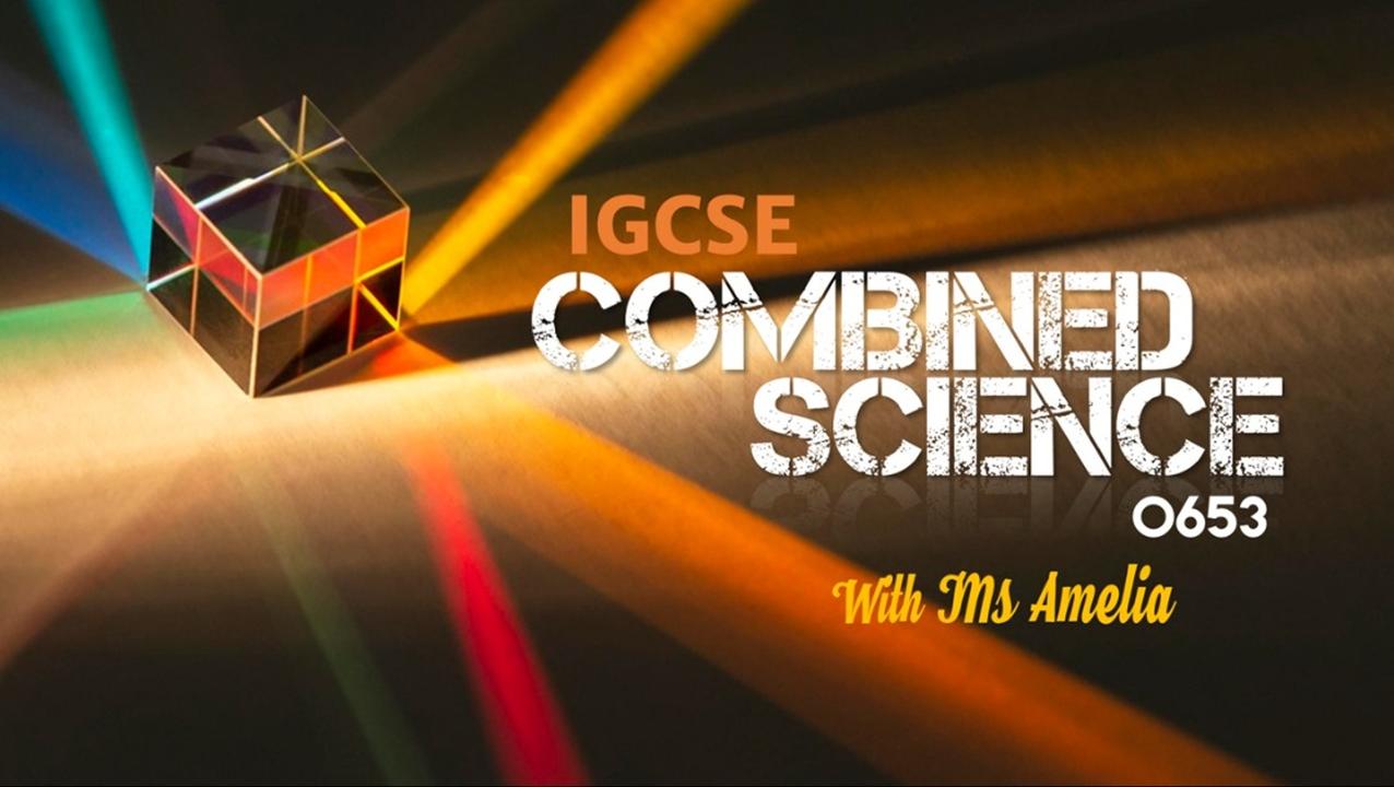 Combined Science (0653) "TAUGHT BY AN IGCSE SCHOOL TEACHER" | Stageo